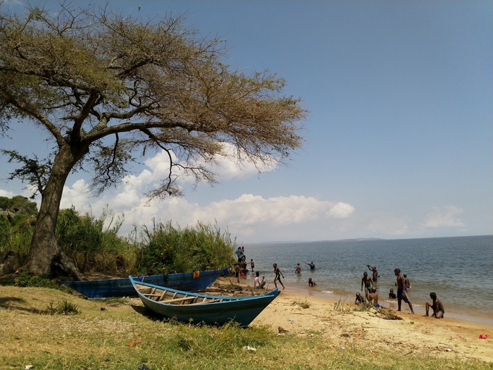 Mwanza :: Shamiri-volunteer